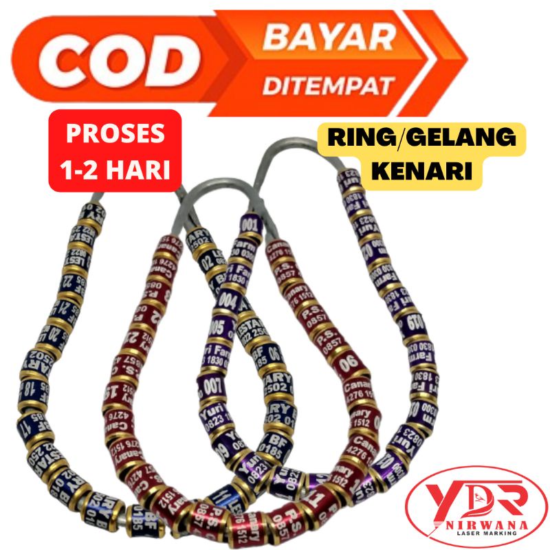 Jual RING KENARI MK NEW CUSTOM NAMA | Shopee Indonesia