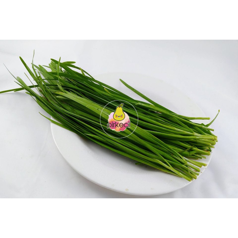 Jual [Paket GOCENG] Kucai Segar / Chives | Shopee Indonesia