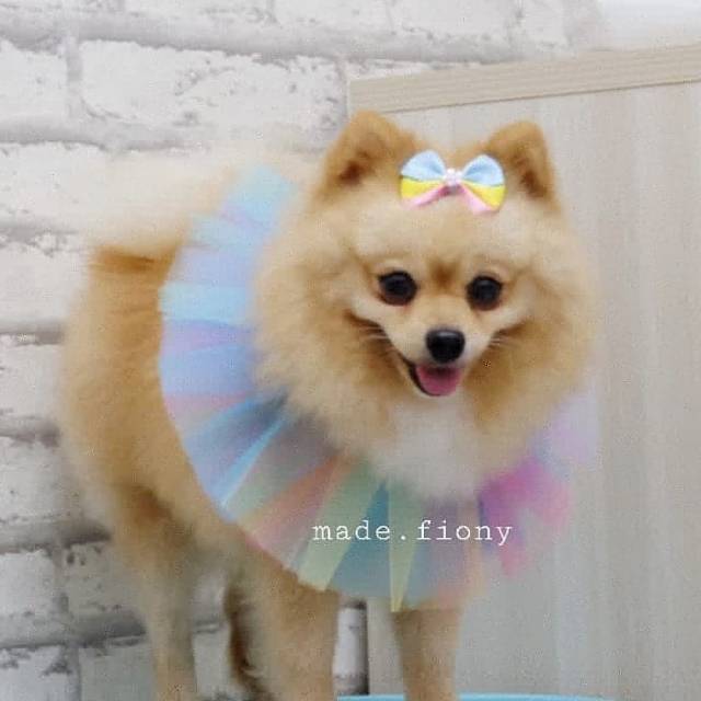 Jual Jual baju anjing pom smua jenis /kucing anggora ,persia/bahan ...