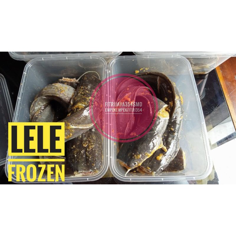 Jual ikan Lele kalimantan fresh bumbu frozen | Shopee Indonesia