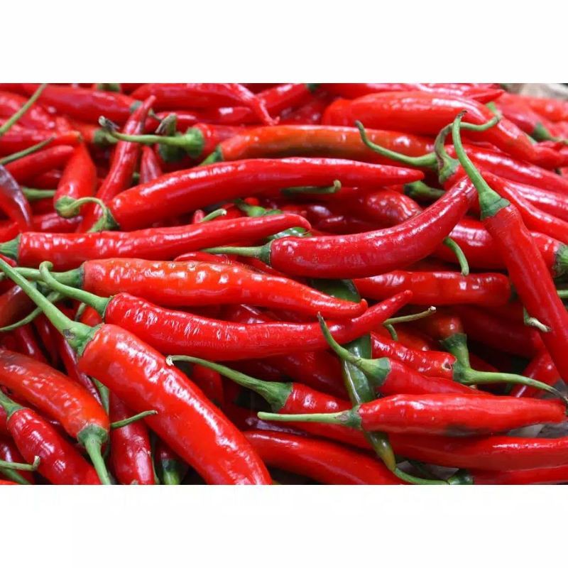 Jual KangSayur - Sayuran Segar CABE MERAH GEDE / CABAI MERAH BESAR ...