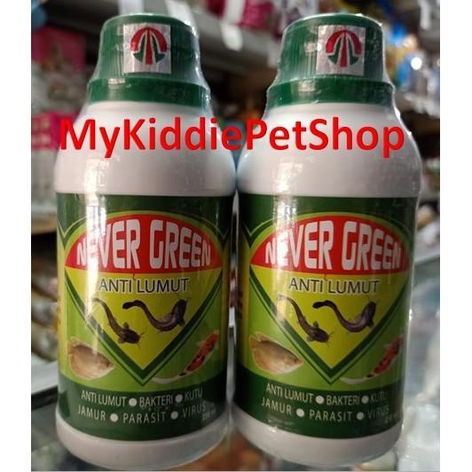 Jual Obat Ikan Aquarium-Kolam NEVER GREEN 250ml Obat Ikan Anti Lumut ...