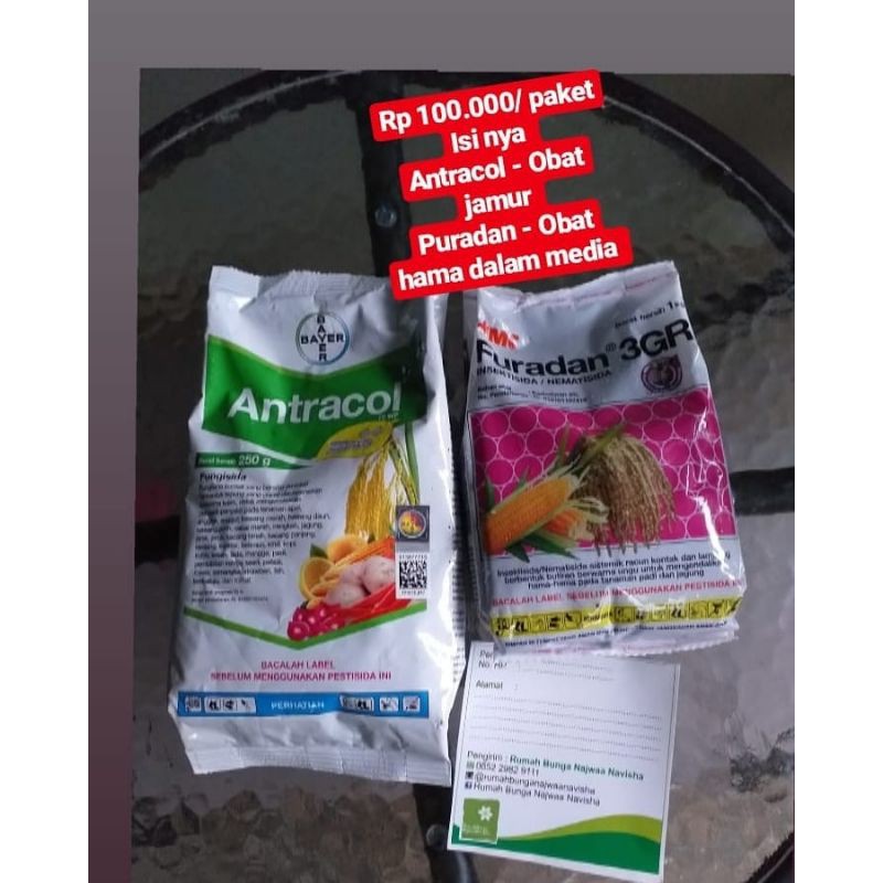 Jual obat hama furadan dan fungisida antracol paket | Shopee Indonesia