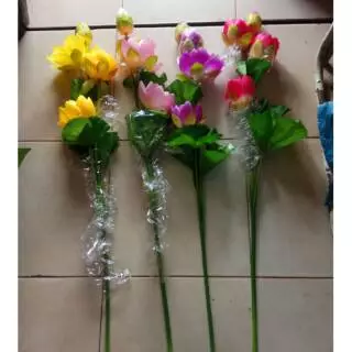 Jual Bunga Teratai Terlengkap & Harga Terbaru Juni 2024 | Shopee Indonesia