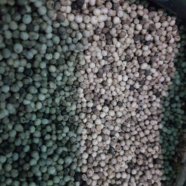 Jual Sahang kalimantan | Shopee Indonesia