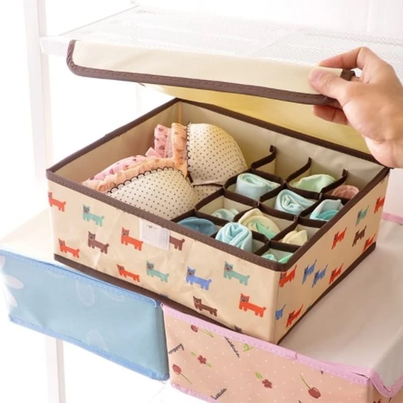 Jual TYB T12 2 in 1 Storage Box Underware & Bra Motif 12 Grid Storage ...