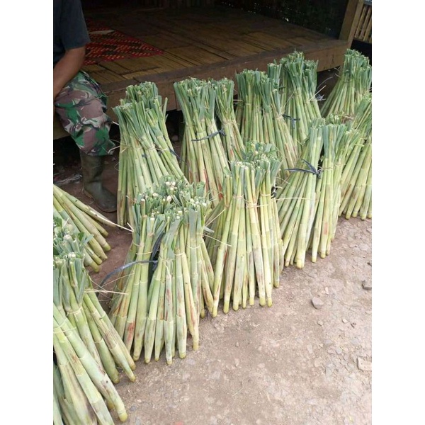 Jual telur tebu 1 kg- terubuk / kembang tiwu 1 kg | Shopee Indonesia