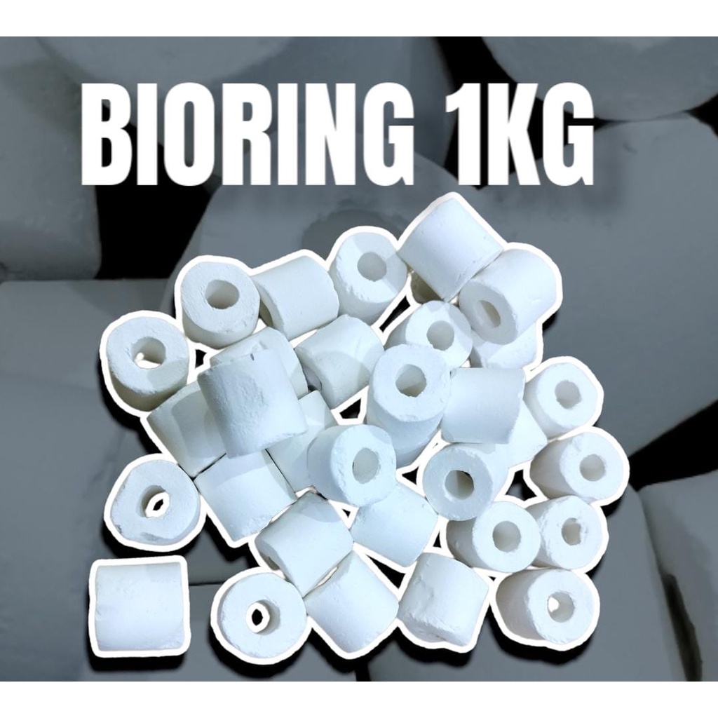 Jual Bioring 1KG Bioball 1KG Bio ring care Ceramic ring Bio ball Filter ...