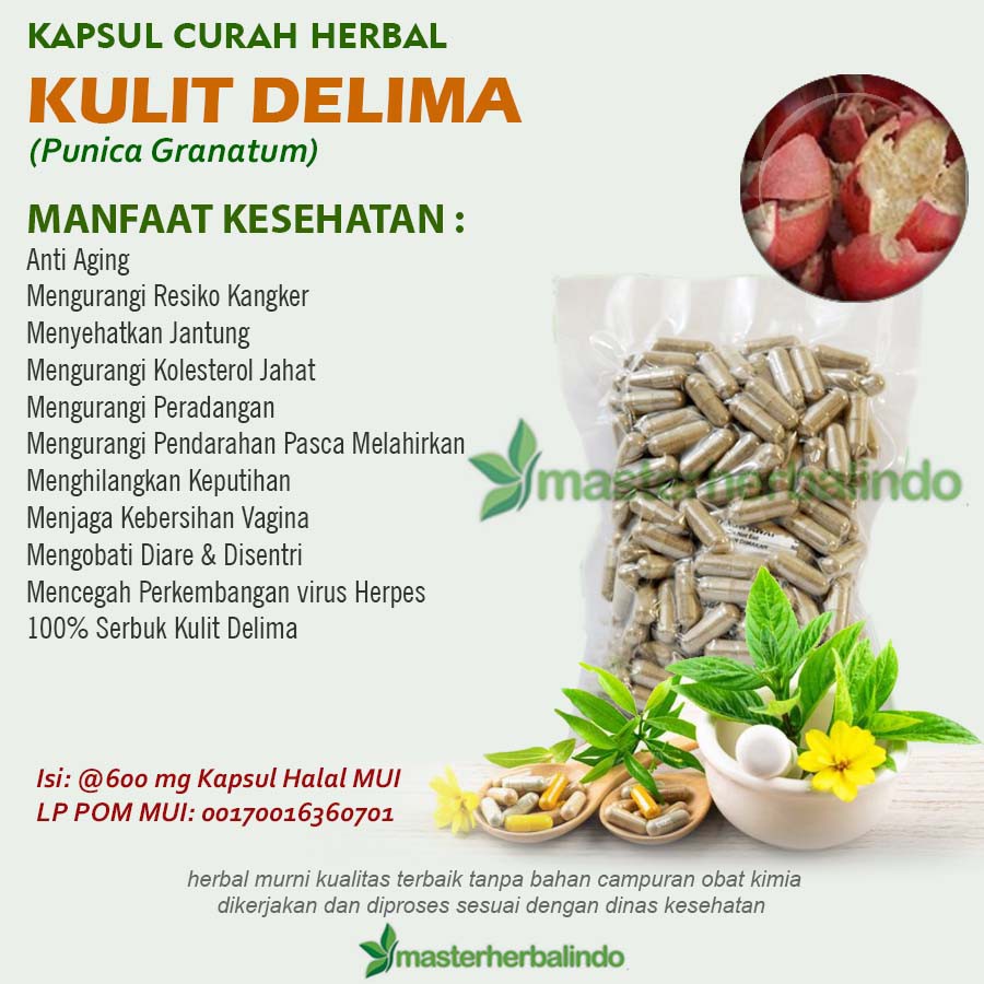 Jual KULIT DELIMA 100 Kapsul Herbal Pelembab Kulit Detoksifikasi Anti ...