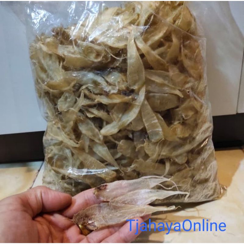 Jual Hipio 500gr ( Gelembung ikan-Perut ikan-Pelampung Ikan Gulama ...