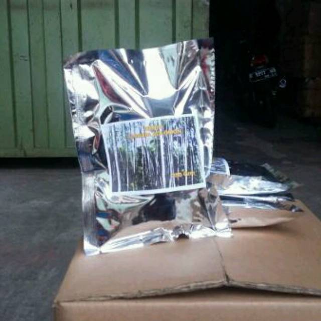Jual BENIH ALBASIA SOLOMON S1. BIJI ALBASIA SOLOMON S1. F1 F2 JAGUAR ...