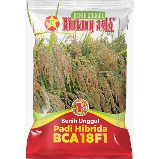 Jual Benih Padi Hibrida BCA 18 F1 1 kg Bintang Asia | Shopee Indonesia