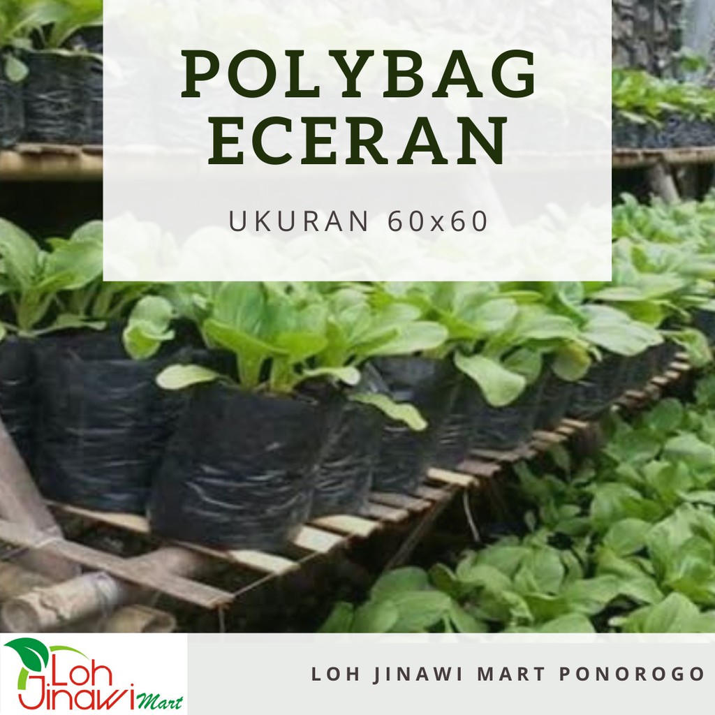 Jual Plastik Polybag Polibek Polibeg Eceran 60 X 60 1 Buah | Shopee ...
