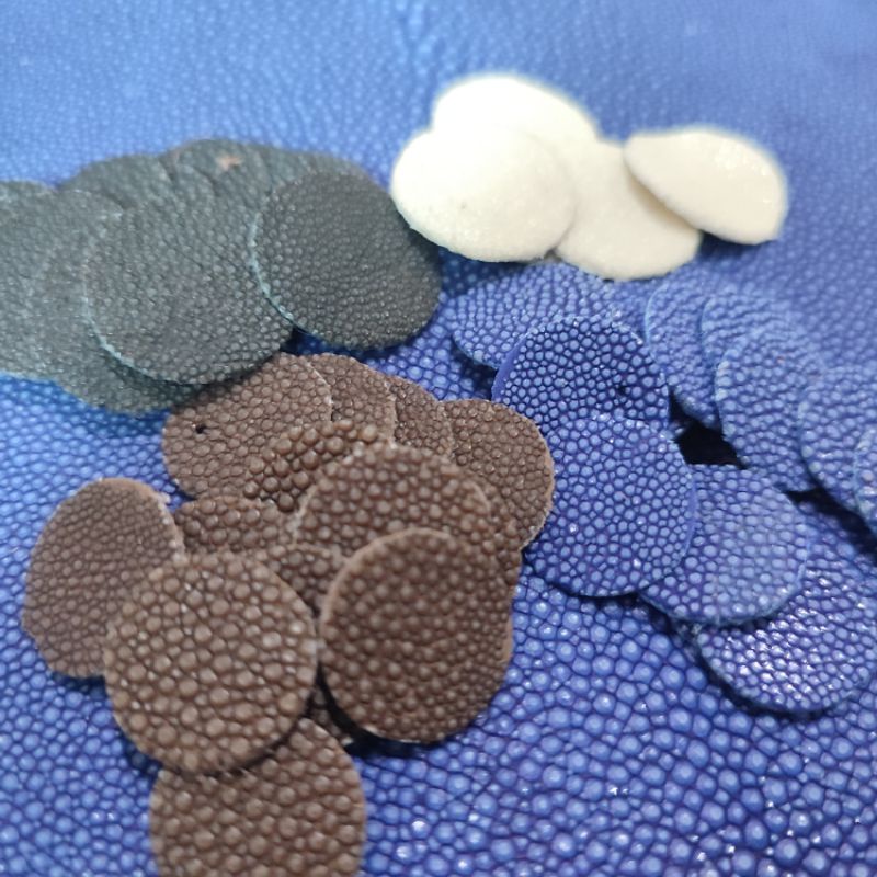 Jual kulit ikan pari untuk arrow pass | Shopee Indonesia