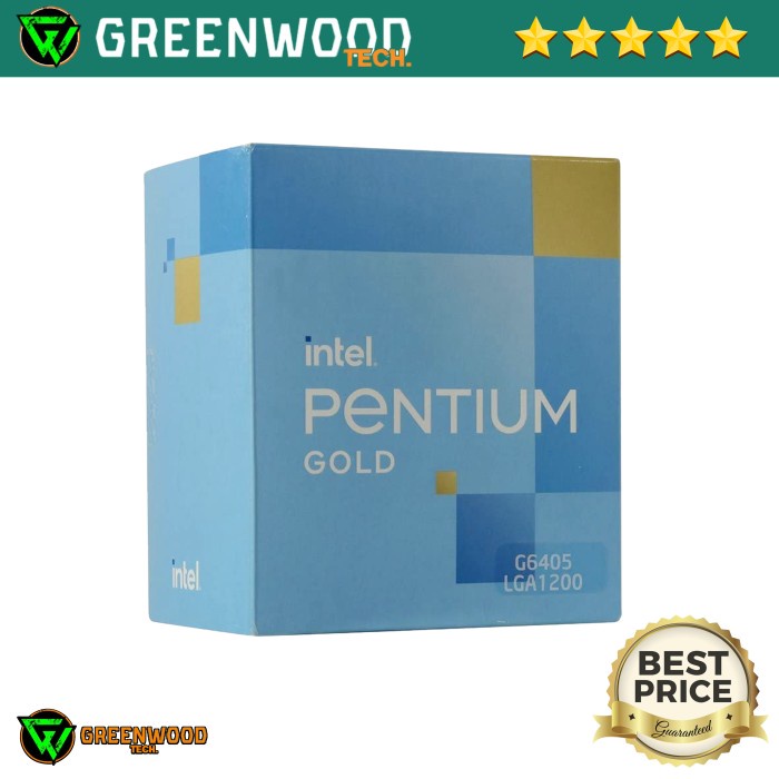 Jual Intel Pentium Gold G6405 4.1GHZ Dual-Core - LGA 1200 Box | Shopee Indonesia