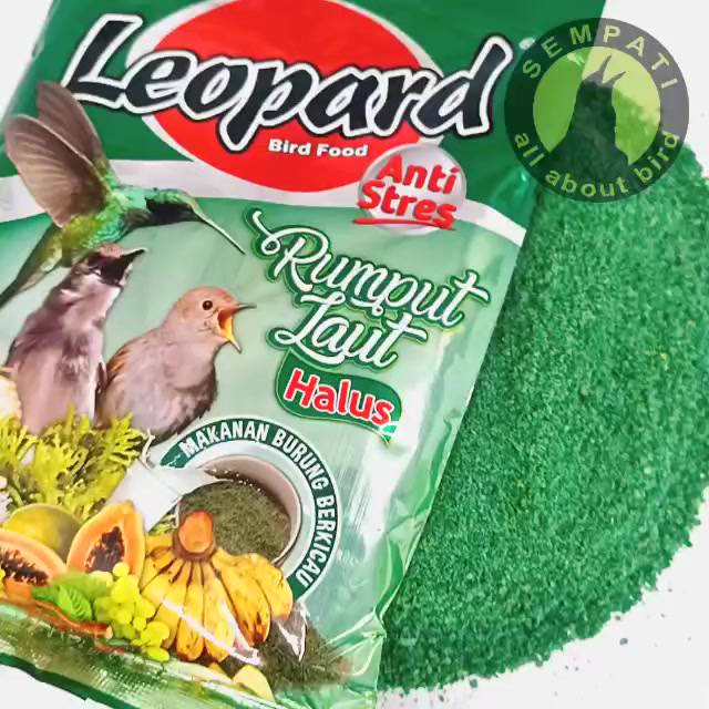 Jual SEMPATI LEOPARD RUMPUT LAUT IJO PAKAN PUR VOER HALUS ALUS PAKAN ...