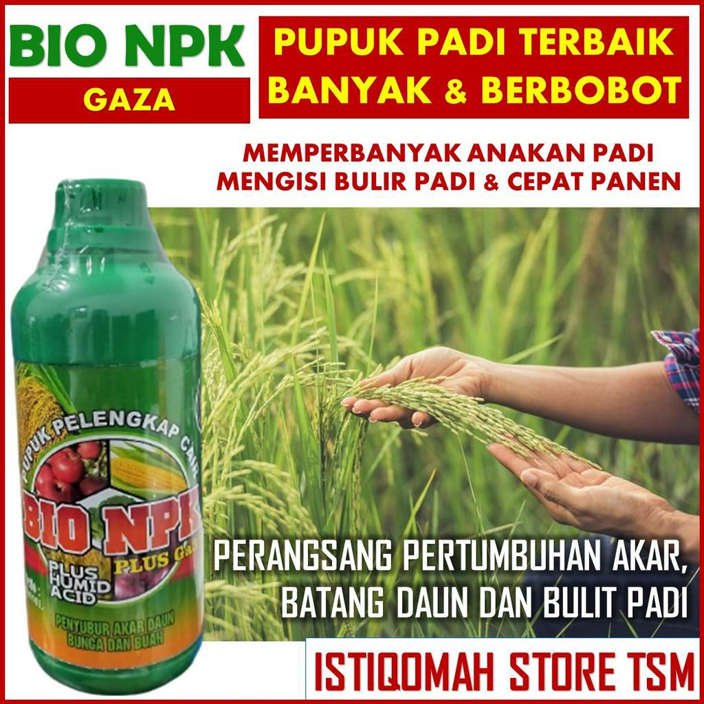 Jual Pupuk Untuk Menghijaukan Daun Padi BIO NPK GAZA 500ML Pupuk NPK Cair Semprot Pupuk Daun ...