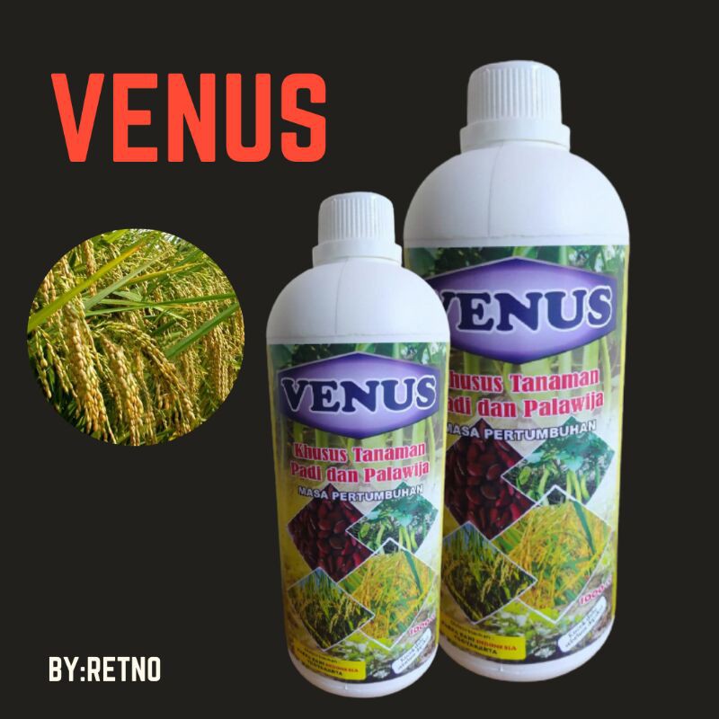 Jual PUPUK VENUS untuk pohon kelapa, NUTRISI kelapa sawit agar berbuah ...