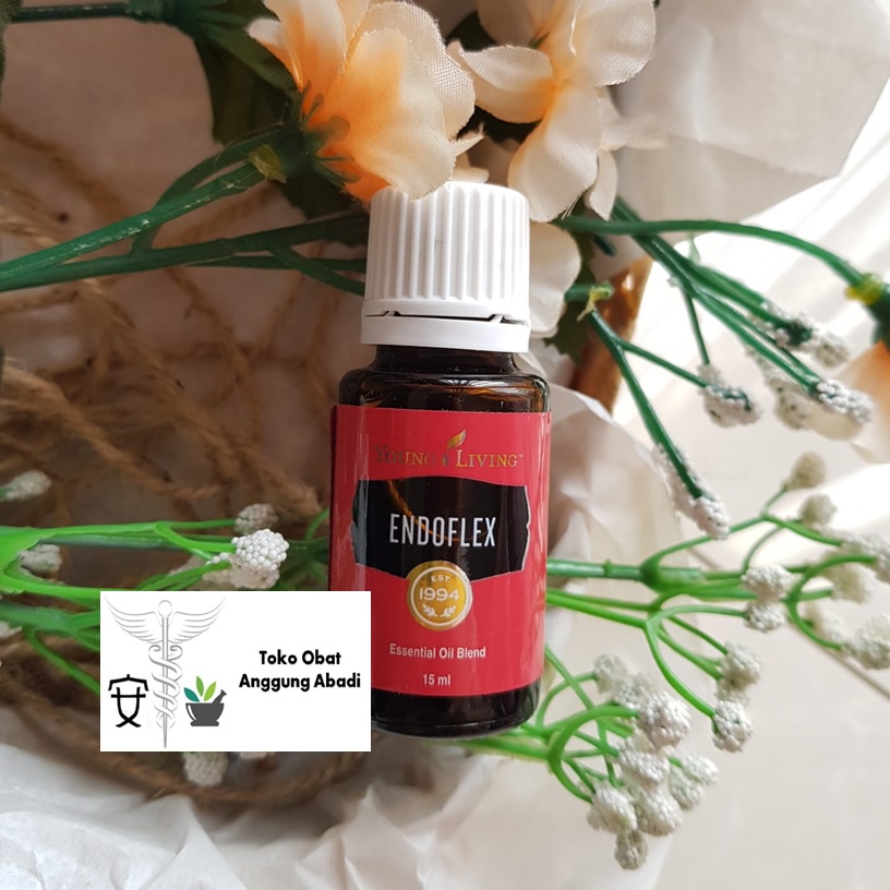 Jual YL Minyak Esensial / Essential Oil Endoflex 15ML SEGEL | Shopee Indonesia