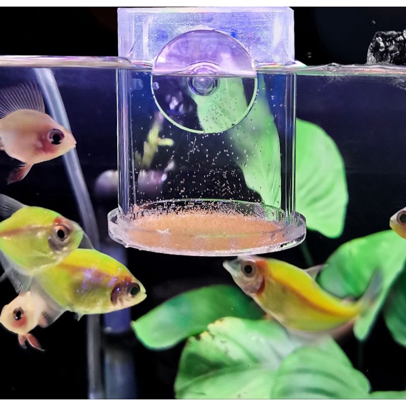 Jual ARTEMIA FEEDING NET WADAH TEMPAT MAKAN IKAN | Shopee Indonesia