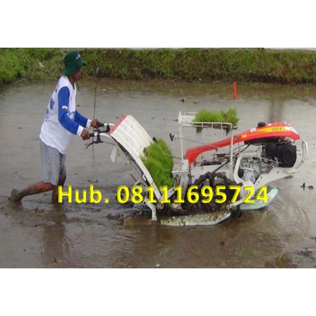 Jual Mesin Penanam Padi - Rice Transplanter (4 Baris Tanam) 2ZS-4 ...