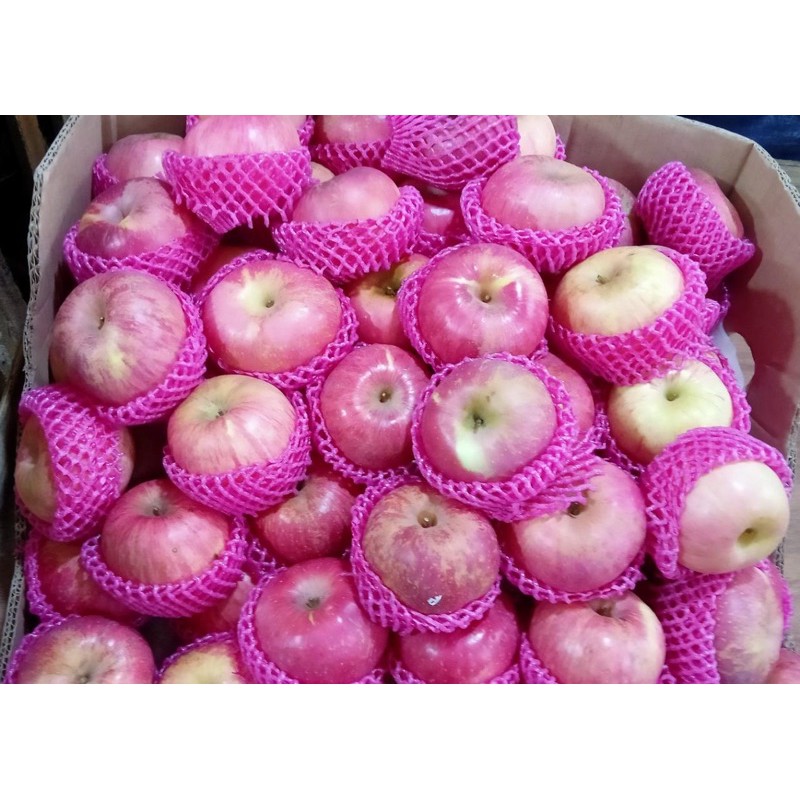 Jual Apel fuji 1kg | Shopee Indonesia