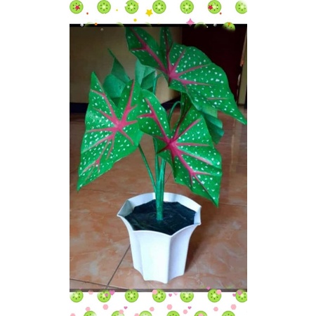 Jual kembang plastik motif keladi(beras wutah) | Shopee Indonesia