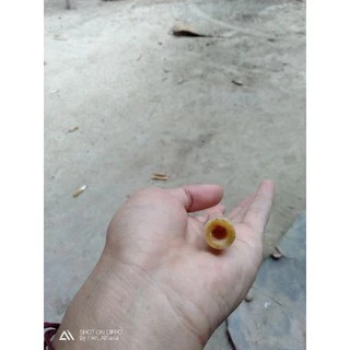 Jual Ikan Marlin Terlengkap & Harga Terbaru Juni 2024 | Shopee Indonesia