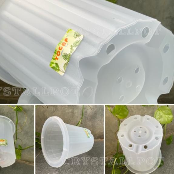Jual ♦ pot bunga tanaman tinggi yogap YPT 18 bening trasparan - bahan ...