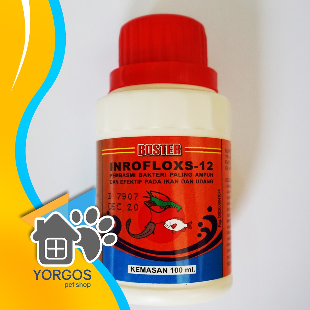 Jual Boster Enro Antibiotik Ikan Inrofloxs Cair 12 Enrofloxacin ...