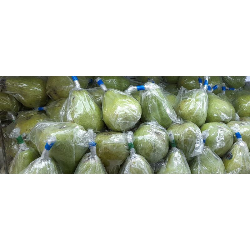 Jual Pear Packham argentina/buah pir | Shopee Indonesia