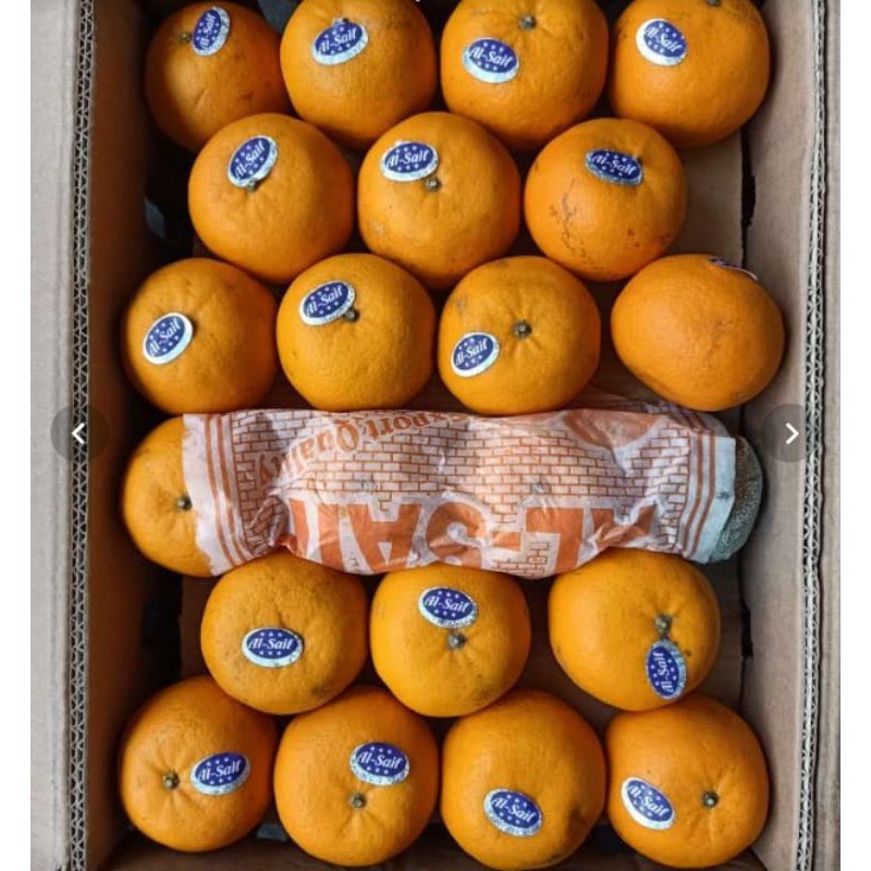 Jual FRESH ORANGES JERUK KINNOW PAKISTAN 10 KG ASEM MANIS SEGAR ...