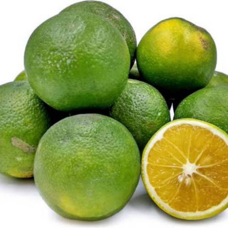 Jual JERUK BABY JERUK IRIS KOTA MALANG JAWA TIMUR 1KG | Shopee Indonesia