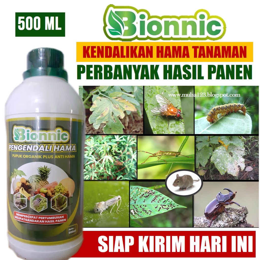 Jual Pestisida BIONNIC 500 ML Atasi Hama Penyakit Padi Sawah Terbaik ...