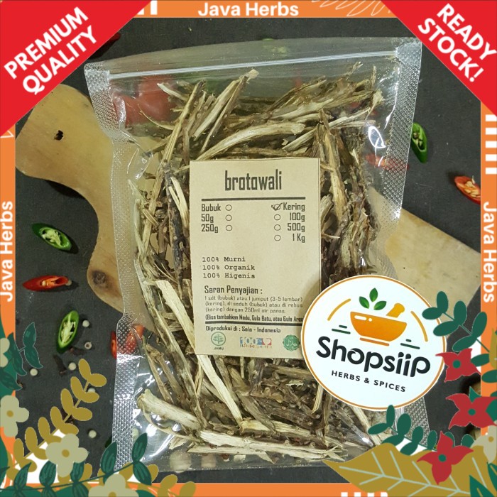 Jual BROTOWALI BRATAWALI TINOSPORA CORDIFOLIA KERING 100G | Shopee ...