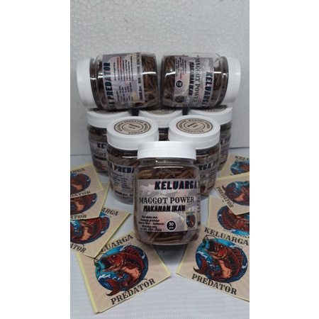 Jual Maggot kering full protein | Shopee Indonesia