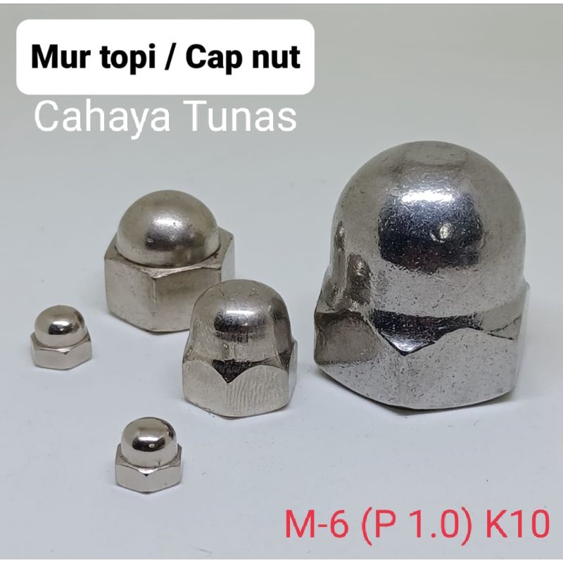 Jual Mur Topi M-6 | Cap Nut M-6 (Pitch 1,0) K10 | Shopee Indonesia