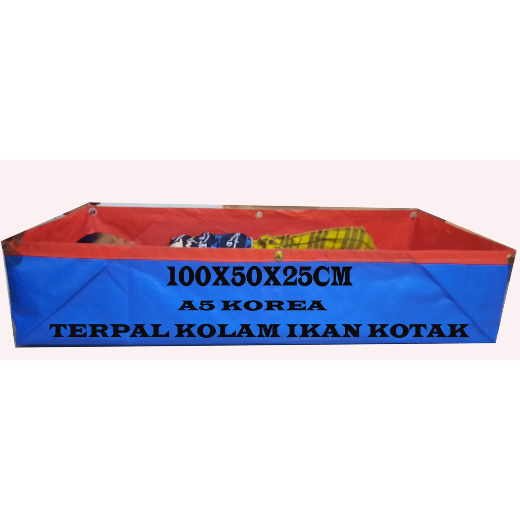 Jual Terpal kolam ikan cupang 100x50x25 100% korea original cocok buat ...