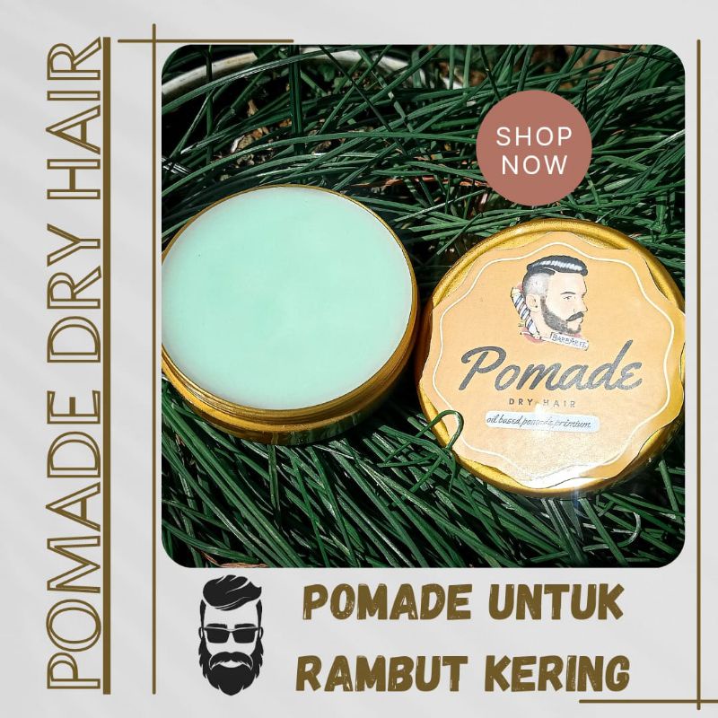 Jual POMADE PREMIUM Dry Hair | Untuk Rambut Kering | Oil Based | Shopee ...