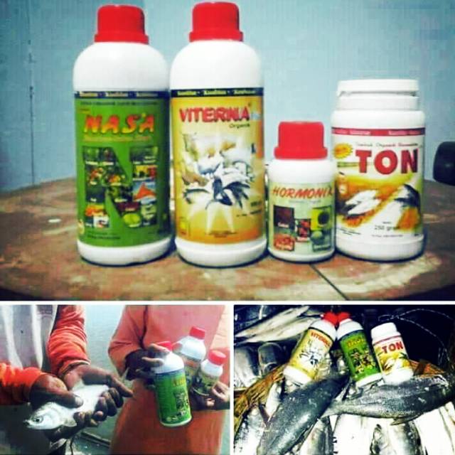 Jual PAKET PERIKANAN NASA LENGKAP/VITAMIN IKAN/LELE/NILA/UDANG/BANDENG | Shopee Indonesia
