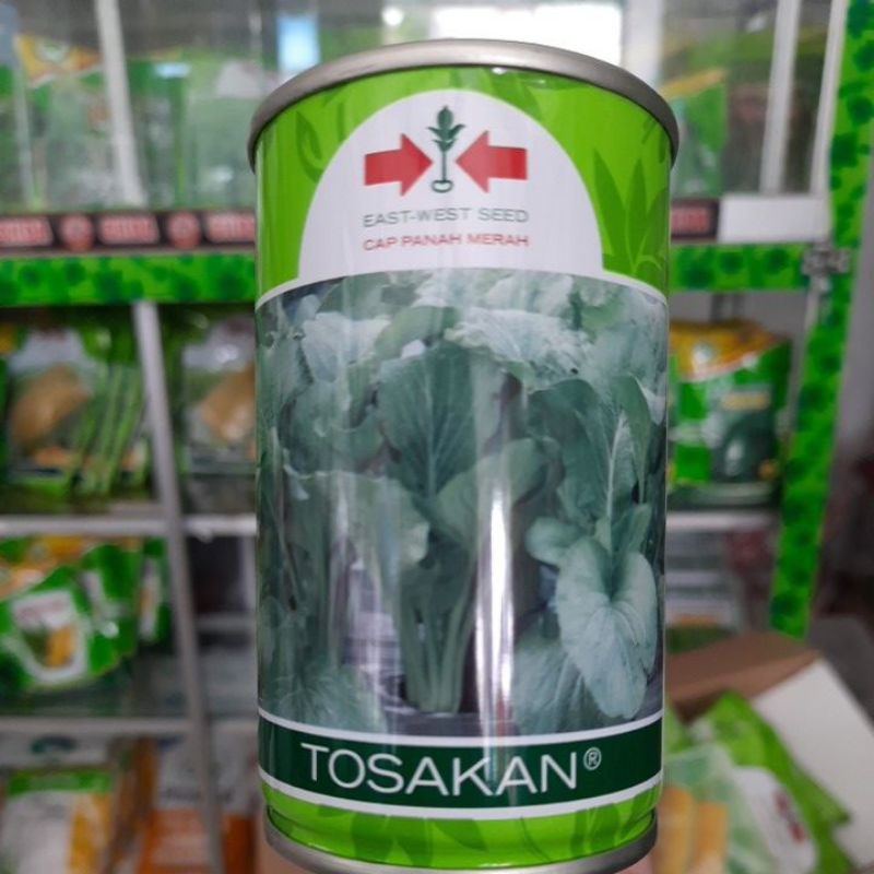 Jual Bibit Benih Sawi Manis Benih Cesim TOSAKAN 100 Gram Kemasan Kaleng ...