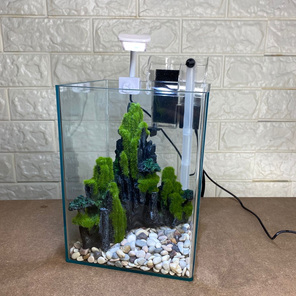 Jual Aquarium Aquascape Paket Komplit Gak Perlu Co2, Pupuk bisa buat ... Jual Aquarium Aquascape Paket Komplit Gak Perlu Co2, Pupuk bisa buat ...