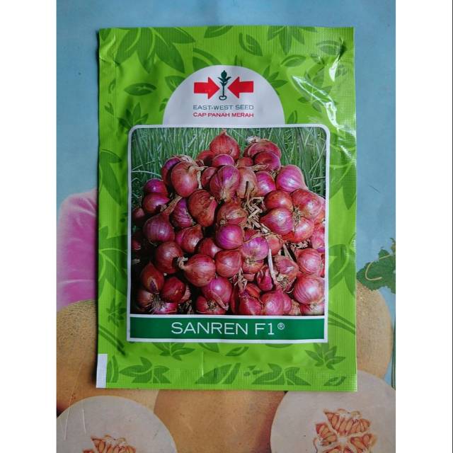 Jual Benih Biji Bawang Merah SANREN F1 10gr | Shopee Indonesia