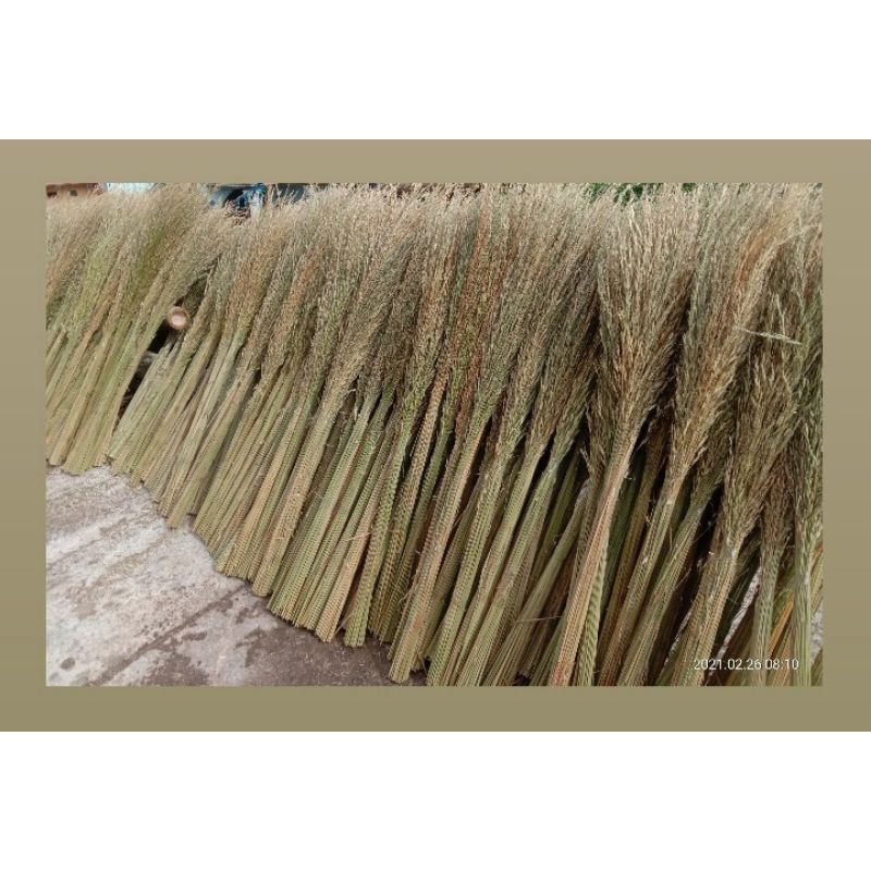 Jual bunga padi padian | bunga kering | dekorasi rustic | Shopee Indonesia