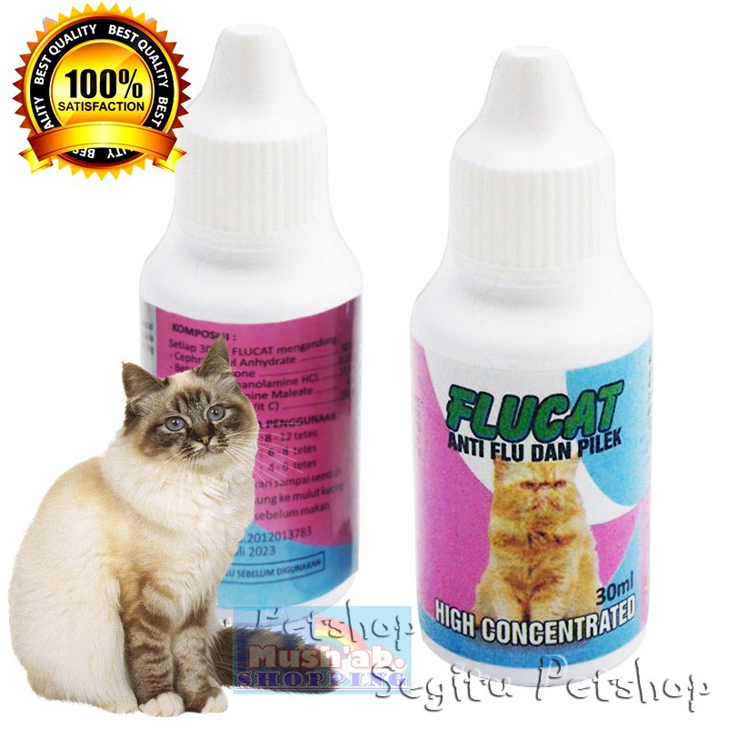 Jual Obat Kucing Obat Flu Pilek Kucing Batuk Obat Kucing Ingusan FLUCAT ...