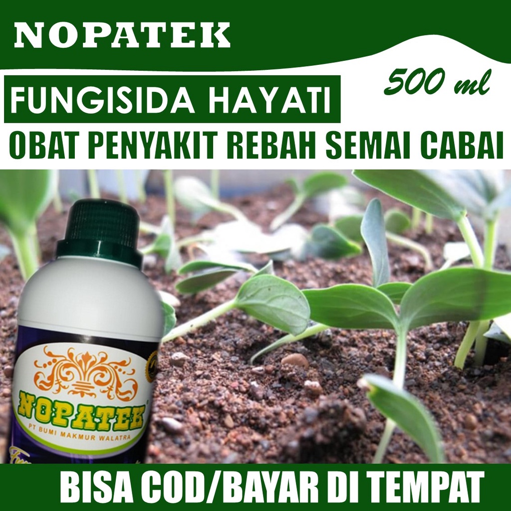 Jual 500 ml NOPATEK Obat Hama Rebah Semai Cabe 5 hari, Obat Hama Rebah ...