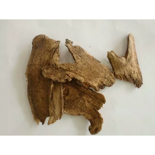 Jual 10 G 50 GR 100 GRAM MU XIANG 木香片 AUCKLANDIA ROOT COSTUS ROOT ...