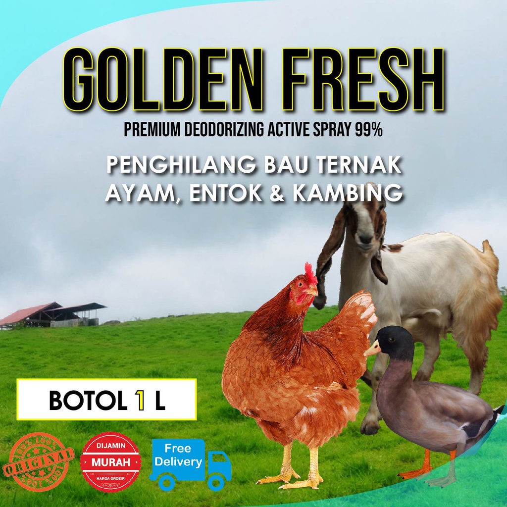 Jual CAIRAN PENGHILANG BAU KOTORAN AYAM ENTOK KAMBING GOLDEN FRESH 1 LTR REFILL Obat Cairan ...