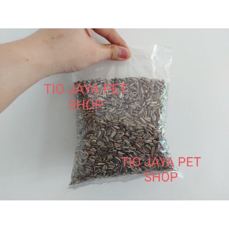 Jual Kuaci Hamster Kemasan 500gr | Shopee Indonesia