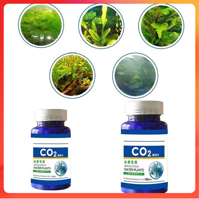 Jual Tablet CO2 Plus Fertilizer pupuk tanaman air Aquascape Aquarium ...
